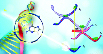 Competing ultrafast intersystem crossing and internal conversion: a ...