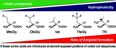 Fluorinated amino acids in amyloid formation: a symphony of size ...