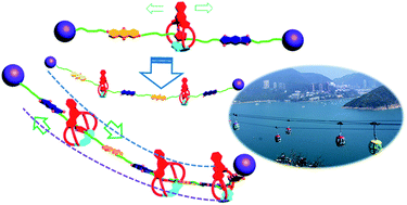 Tristable [n]rotaxanes: from molecular shuttle to molecular cable car ...