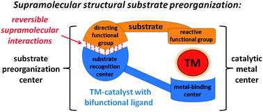 Supramolecular control of selectivity in transition-metal catalysis ...