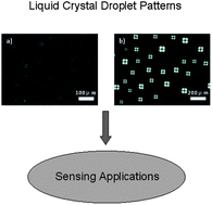 Spontaneous formation of micrometer-scale liquid crystal droplet ...