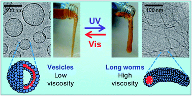 A simple route to fluids with photo-switchable viscosities based on a ...