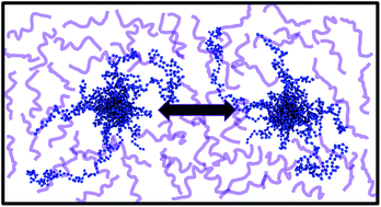 Polydisperse homopolymer grafts stabilize dispersions of nanoparticles ...