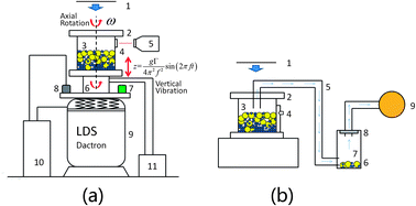 Behaviour of a binary particle system under the effects of simultaneous ...