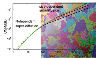Anomalous diffusion in polymer monolayers - Soft Matter (RSC Publishing)