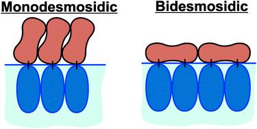 Remarkably high surface visco-elasticity of adsorption layers of ...