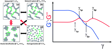Role of interparticle attraction in the yielding response of microgel ...
