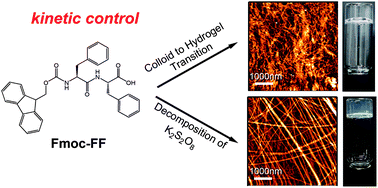 Two approaches for the engineering of homogeneous small-molecule ...