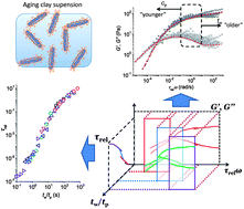 Scaling of the dynamic response of hectorite clay suspensions ...