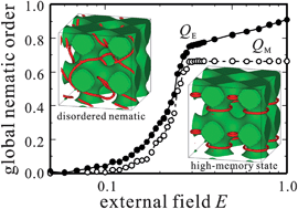 Defect science and engineering of liquid crystals under geometrical ...