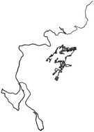 Is duplex DNA a swollen random coil? - Soft Matter (RSC Publishing)