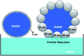 The lifetime of floating liquid marbles: the influence of particle size ...