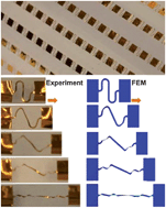 Buckling in serpentine microstructures and applications in elastomer ...