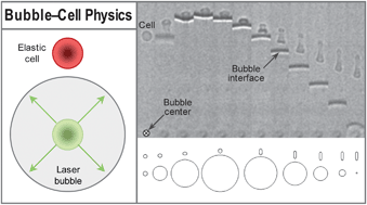 Resonant stretching of cells and other elastic objects from transient cavitation - Soft Matter ...