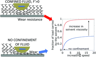 Understanding the role of viscous solvent confinement in the ...