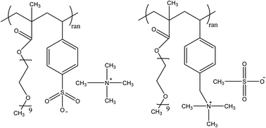 Exploring the role of ion solvation in ethylene oxide based single-ion ...