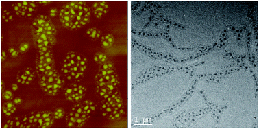 Self-assembly of a conjugated triblock copolymer at the air–water ...