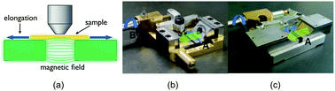 Conformational changes of a single magnetic particle string within gels ...