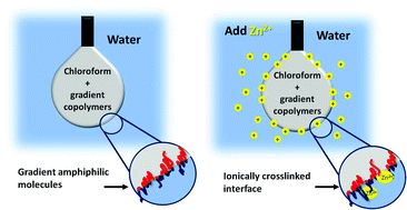 Formation and mechanical characterization of ionically crosslinked ...