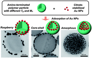Fabrication of gold nanoparticle–polymer composite particles with ...