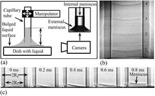 Meniscus formation in a capillary and the role of contact line friction ...