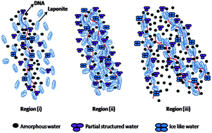 Ergodic-to-nonergodic phase inversion and reentrant ergodicity ...