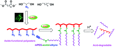 Lipase-catalyzed synthesis of azido-functionalized aliphatic polyesters ...