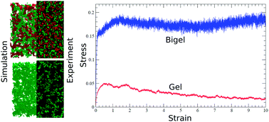 Aggregation dynamics, structure, and mechanical properties of bigels ...
