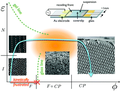 Directed self-assembly - Soft Matter (RSC Publishing)
