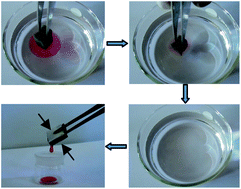 Robust superhydrophobic polyurethane sponge as a highly reusable oil ...
