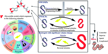Reversible switching transitions of stimuli-responsive shape changing ...