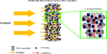 High surface area electrospun prickle-like hierarchical anatase TiO2 nanofibers for dye ...