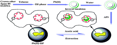 Novel ion-imprinted polymer using crown ether as a functional monomer ...