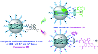 Selective fluorescence sensing of Hg2+ and Zn2+ ions through dual independent channels based on ...
