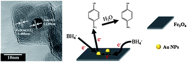 One-pot gradient solvothermal synthesis of Au–Fe3O4 hybrid nanoparticles for magnetically ...