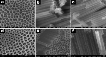 Self-assembly of hierarchically ordered CdS quantum dots–TiO2 nanotube array heterostructures as ...