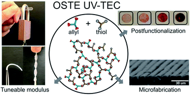 UV initiated thiol–ene chemistry: a facile and modular synthetic ...
