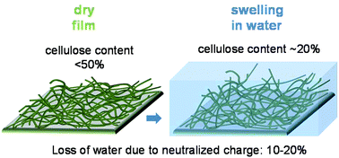 Specific water uptake of thin films from nanofibrillar cellulose ...