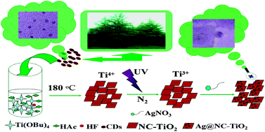 Natural leaves-assisted synthesis of nitrogen-doped, carbon-rich nanodots-sensitized, Ag-loaded ...
