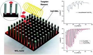 Tungsten oxide-coated copper oxide nanowire arrays for enhanced ...