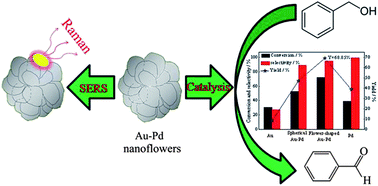 Biogenic flower-shaped Au–Pd nanoparticles: synthesis, SERS detection ...