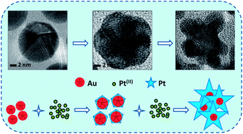 Bimetallic nanodendrites via selective overgrowth of noble metals on ...