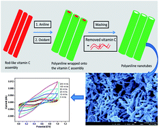 Synthesis of polyaniline nanotubes using the self-assembly behavior of ...