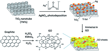 Graphene oxide and Ag engulfed TiO2 nanotube arrays for enhanced electron mobility and visible ...