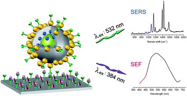 Bifunctional quantum dot-decorated Ag@SiO2 nanostructures for ...