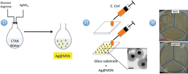 A new synthesis of well-dispersed, core–shell Ag@SiO2 mesoporous ...