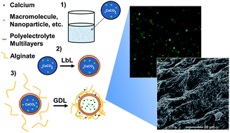 A design full of holes: functional nanofilm-coated microdomains in ...