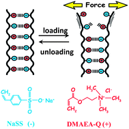 A phase diagram of neutral polyampholyte – from solution to tough ...