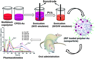 Gold nanoparticle conjugated PLGA–PEG–SA–PEG–PLGA multiblock copolymer ...