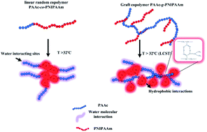 A thermally triggered in situ hydrogel from poly(acrylic acid-co-N ...